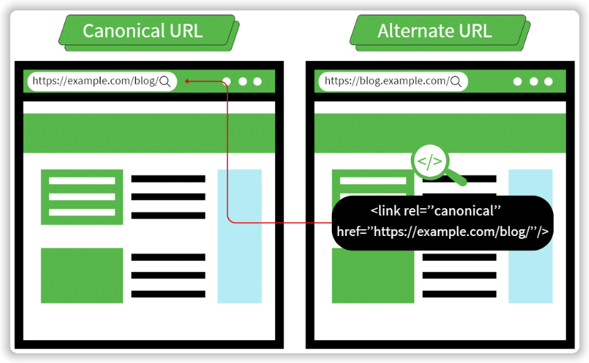 Canonical Tag SEO: Beginners Guide | How to Use Easily